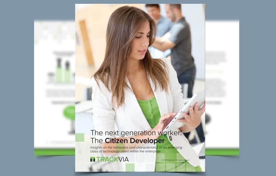 Citizen Developer white paper | Lumen Marketing portfolio